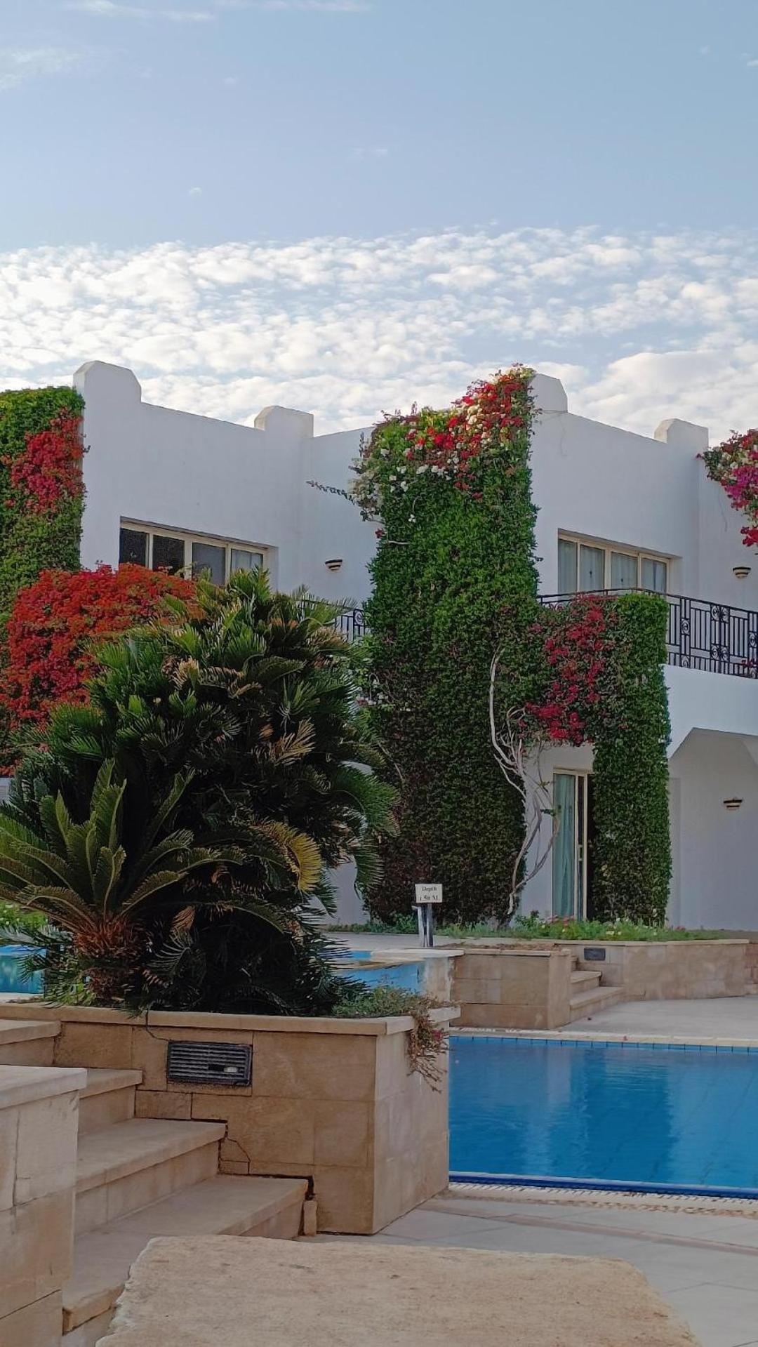 EDEN ROCK SHARM EL-SHEIKH